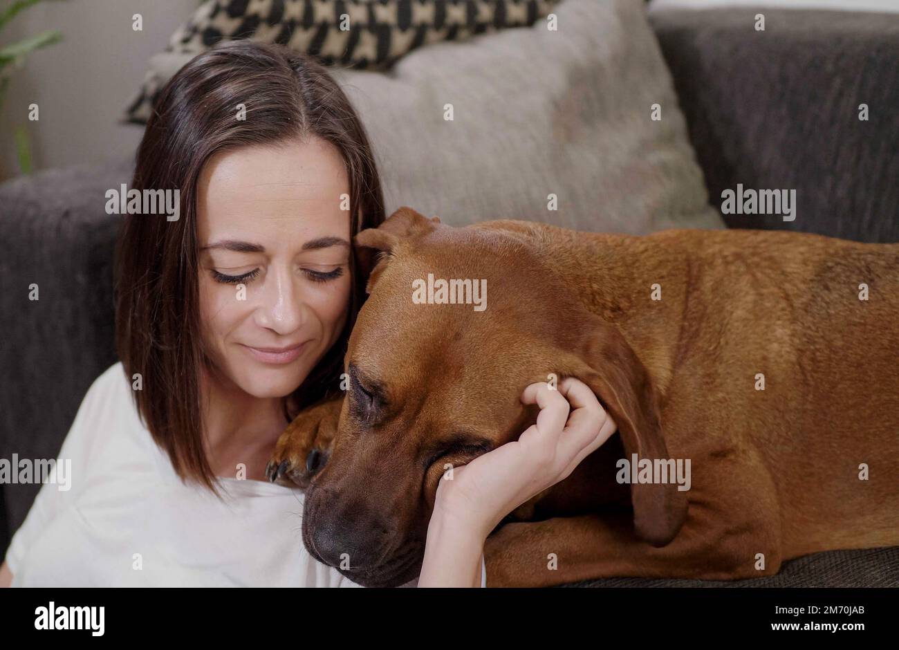 Young woman pets her dog while relaxing in the living room Stock Photo ...