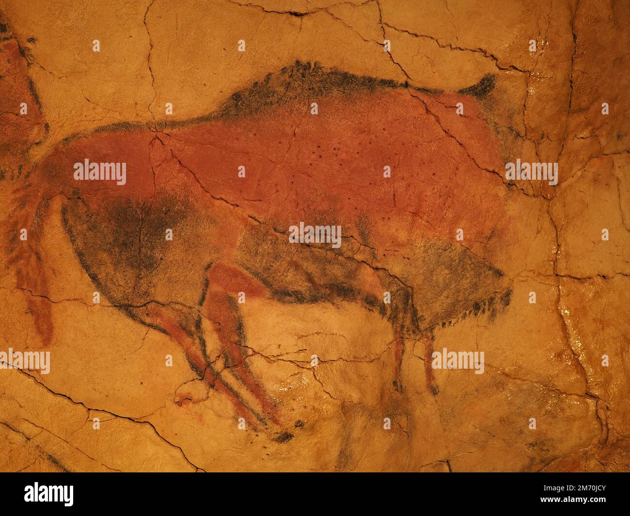 Prehistoric drawings in cave bison hi-res stock photography and images ...