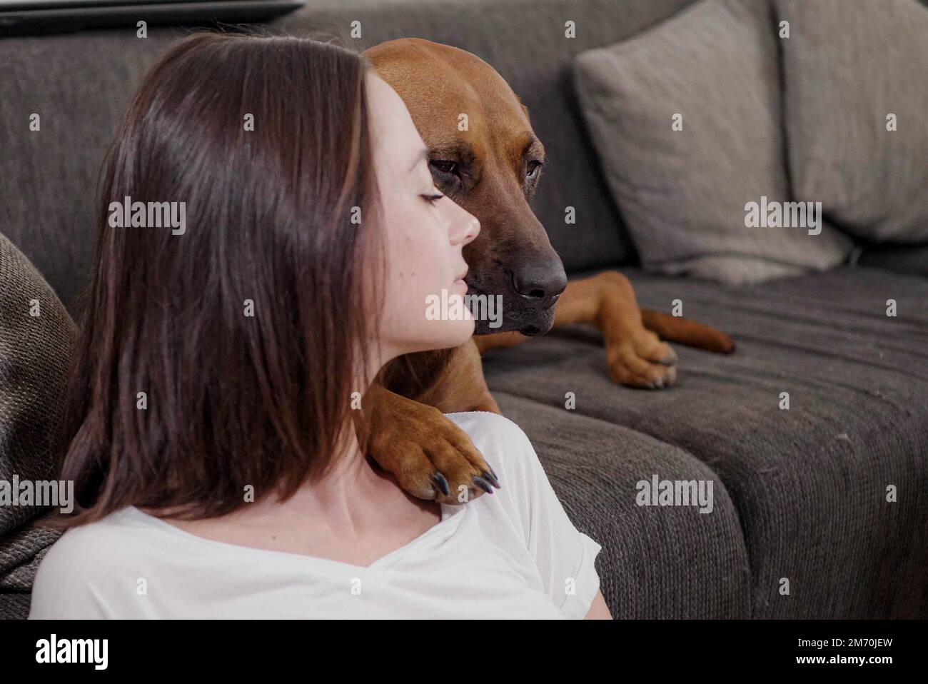 Young woman pets her dog while relaxing in the living room Stock Photo ...