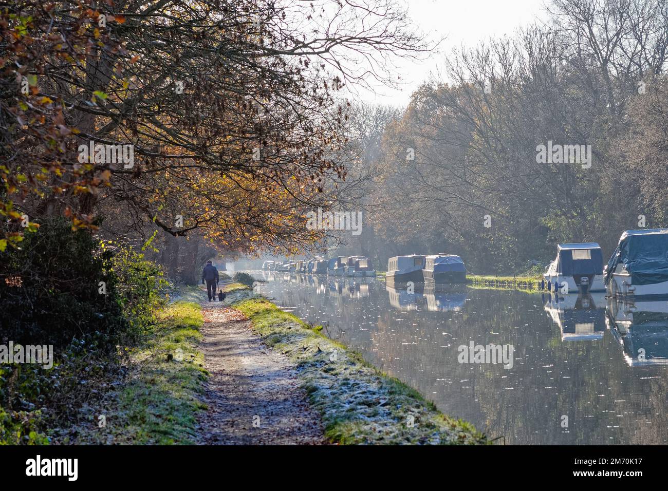 The River Wey navigation canal at New Haw on a cold and frosty winters ...