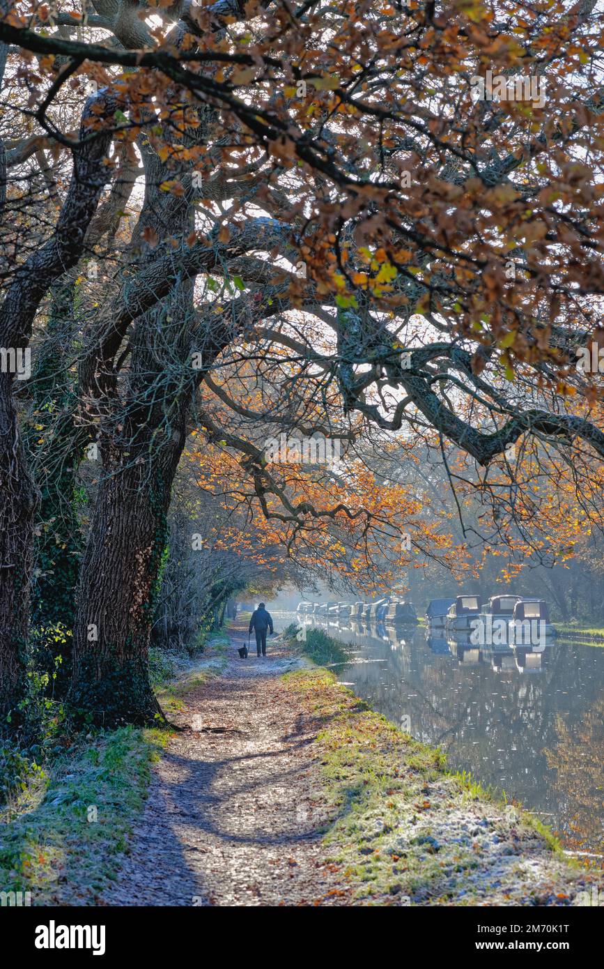 The River Wey navigation canal at New Haw on a cold and frosty winters ...