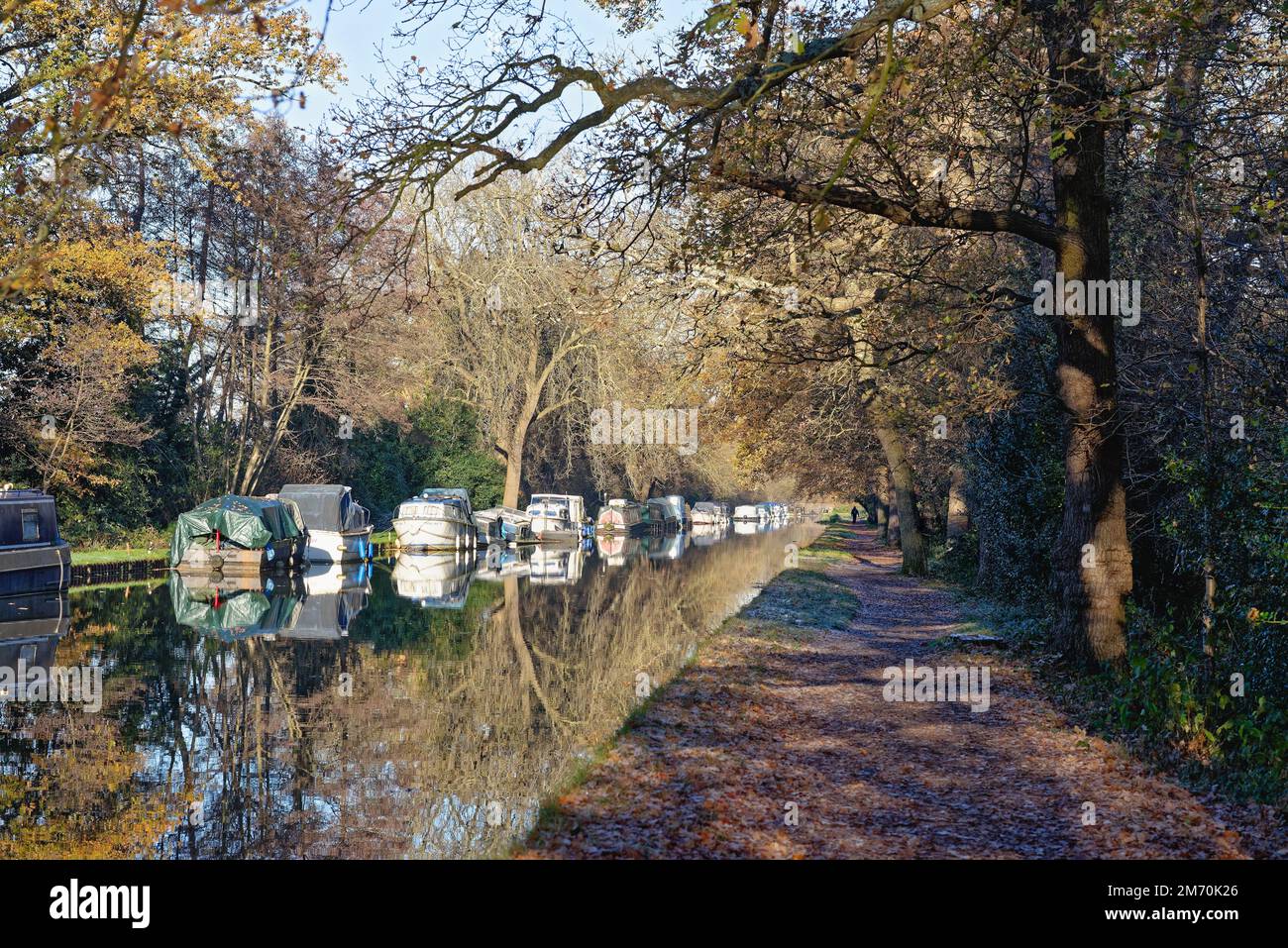 The River Wey navigation canal at New Haw on a cold and frosty winters ...