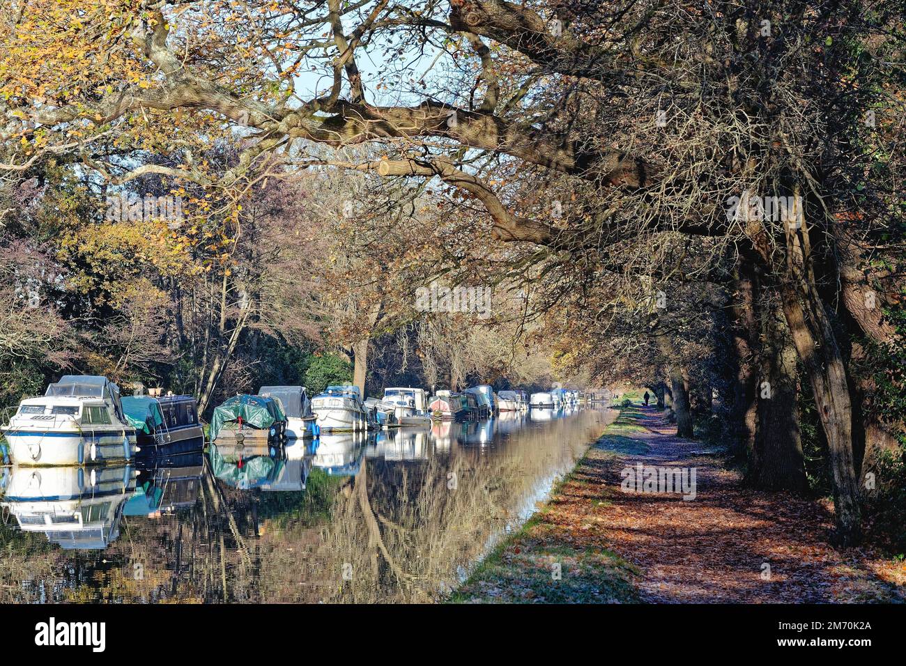 The River Wey navigation canal at New Haw on a cold and frosty winters ...