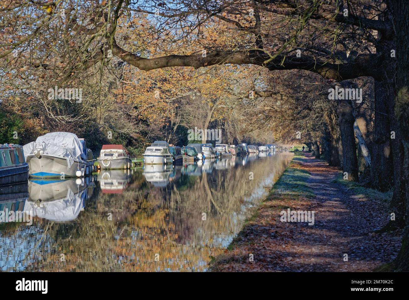 The River Wey navigation canal at New Haw on a cold and frosty winters ...
