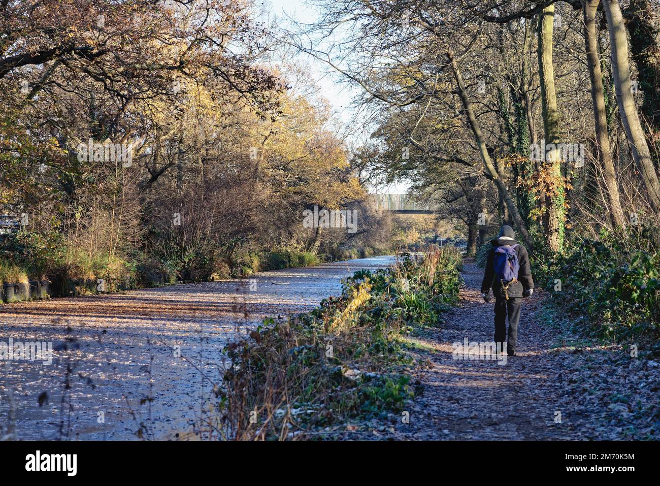 The start of the Basingstoke canal at New Haw on a cold and frosty ...