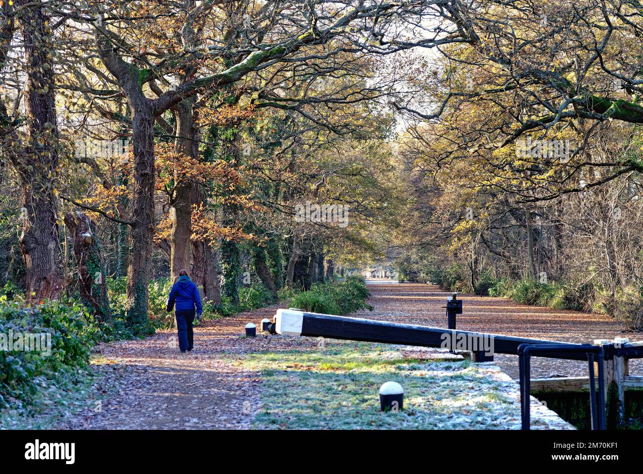 The start of the Basingstoke canal at New Haw on a cold and frosty ...
