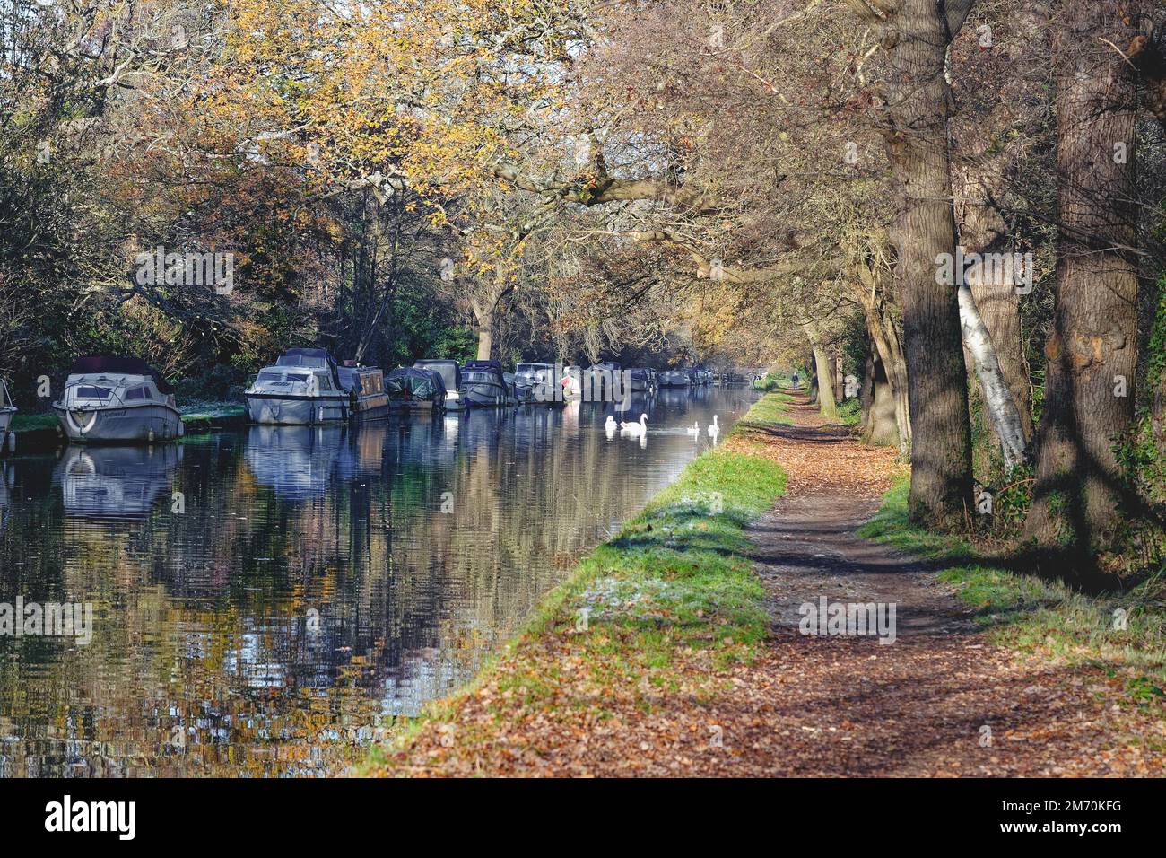 The River Wey navigation canal at New Haw on a cold and frosty winters ...