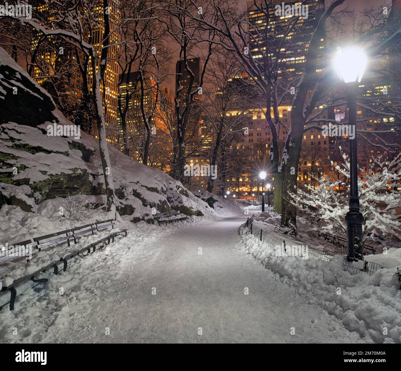 Central Park Winter Night Central Park Benches In Winter: Landscape