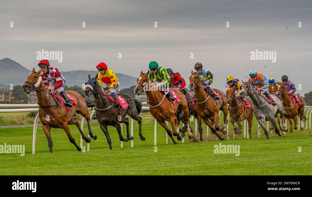 The Race is on. Musselburgh, horseracing, Scotland Stock Photo - Alamy