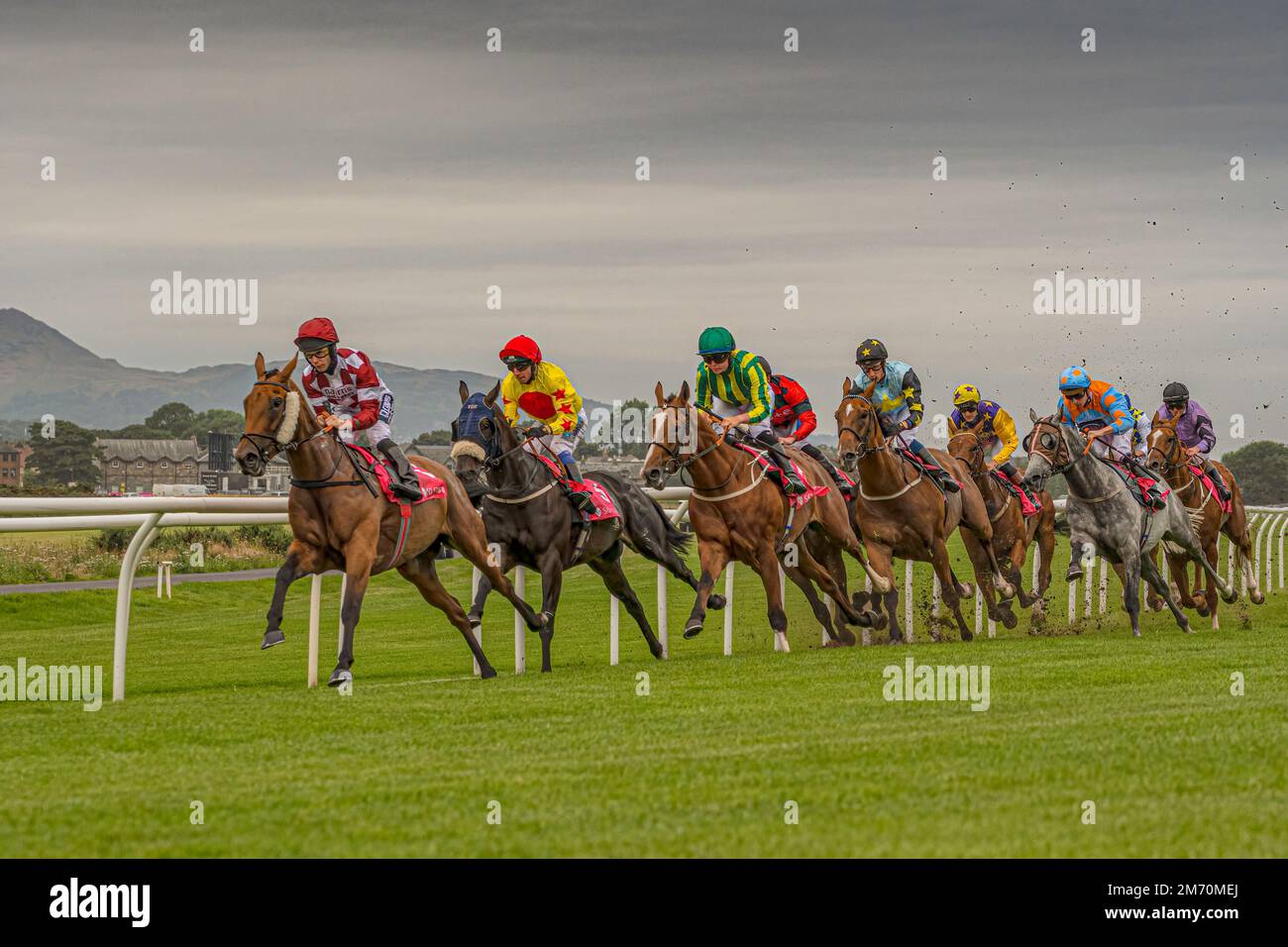 The Race is on. Musselburgh, horseracing, Scotland Stock Photo - Alamy