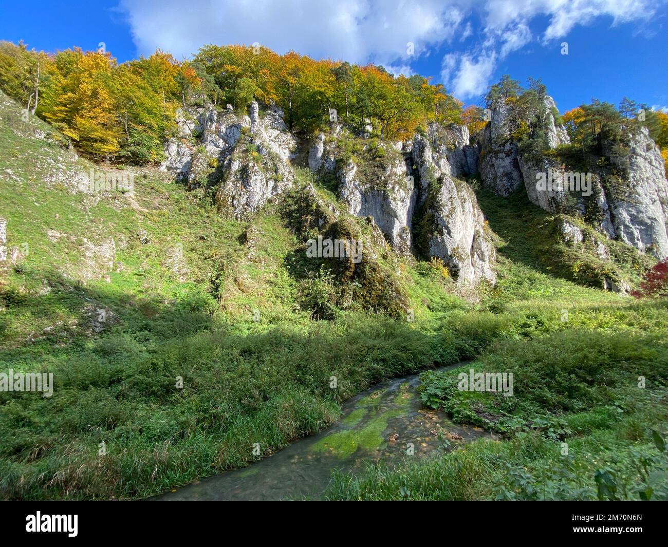 A horizontal shot of Polish Ojcow National Park's green nature and ...