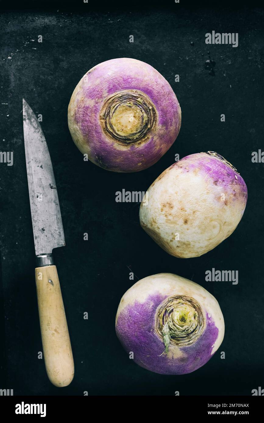 Three purple and white raw turnips with a knife on a black background ...