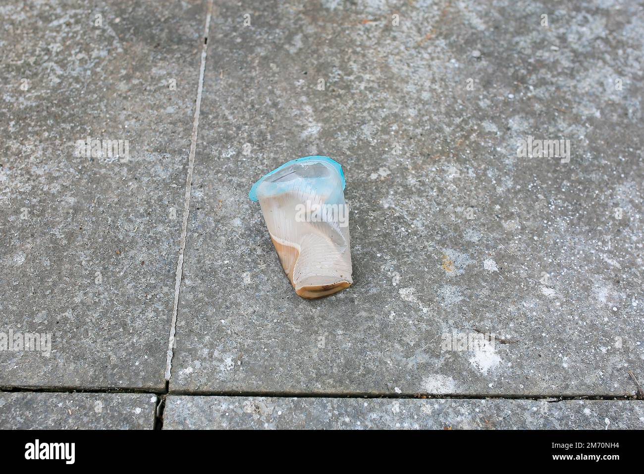 trash near the house and started to decompose Stock Photo - Alamy