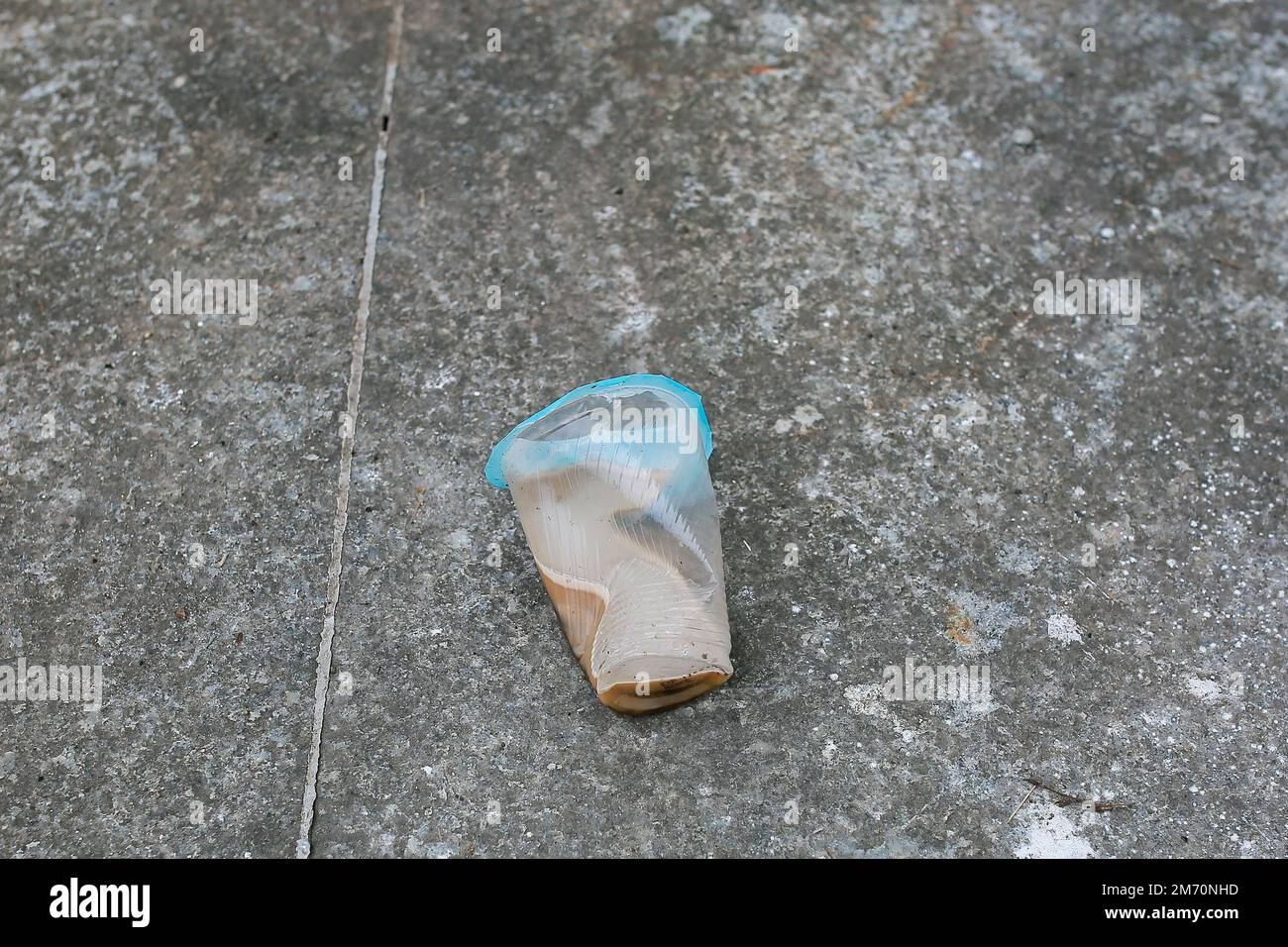 trash near the house and started to decompose Stock Photo - Alamy