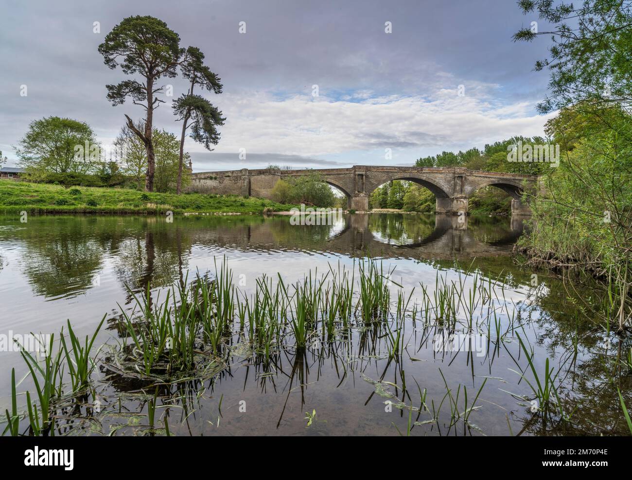 Teviot Bridge, Kelso, seen from upstream on the river Teviot Stock ...