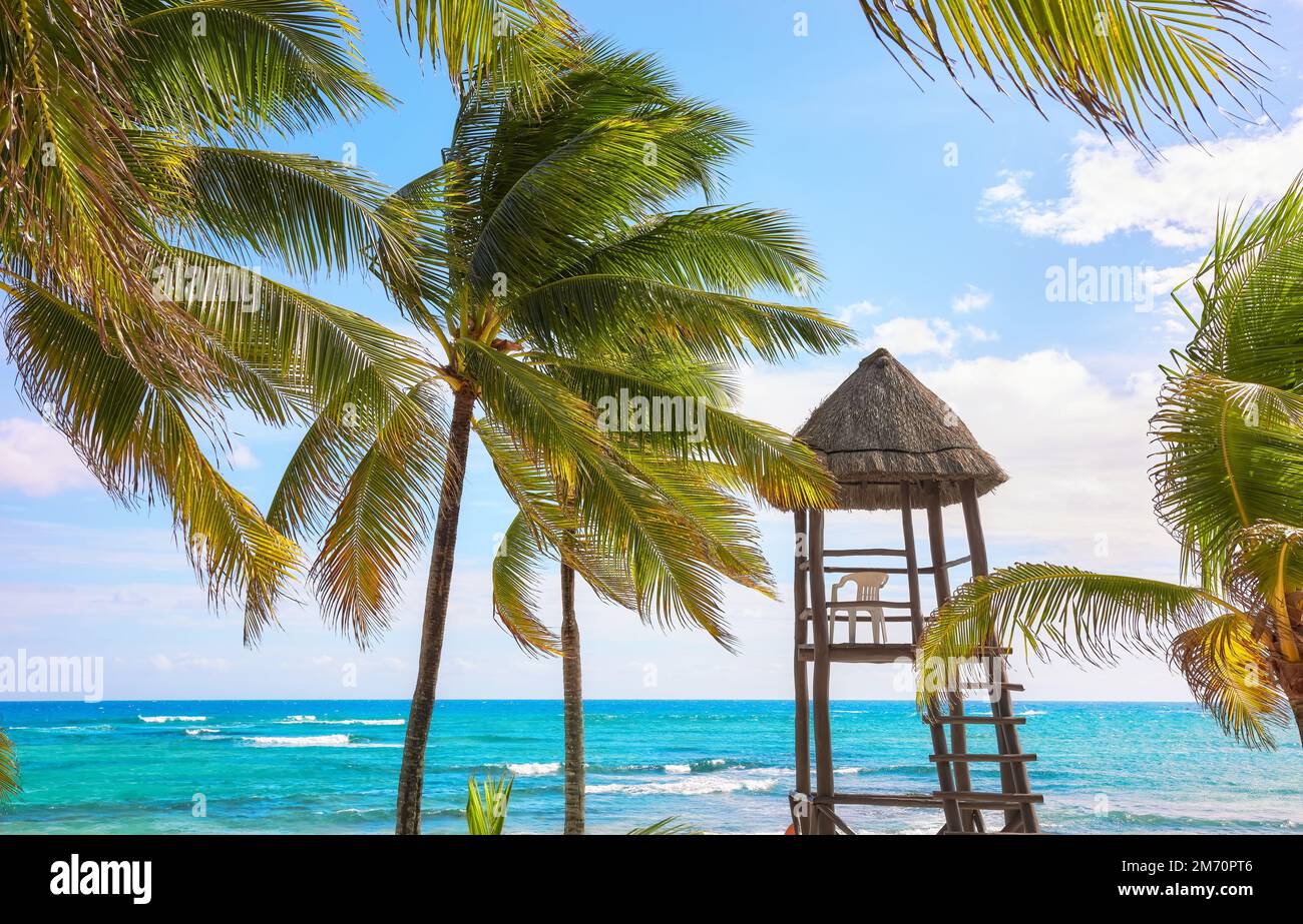 Coconut palm trees and a lifeguard tower on a Caribbean beach, Mexico ...