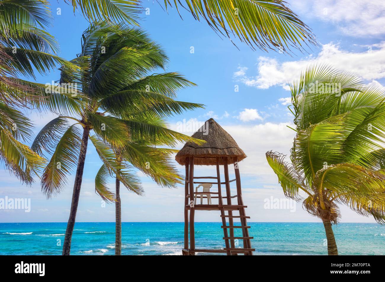 Coconut palm trees and a lifeguard tower on a Caribbean beach Stock ...