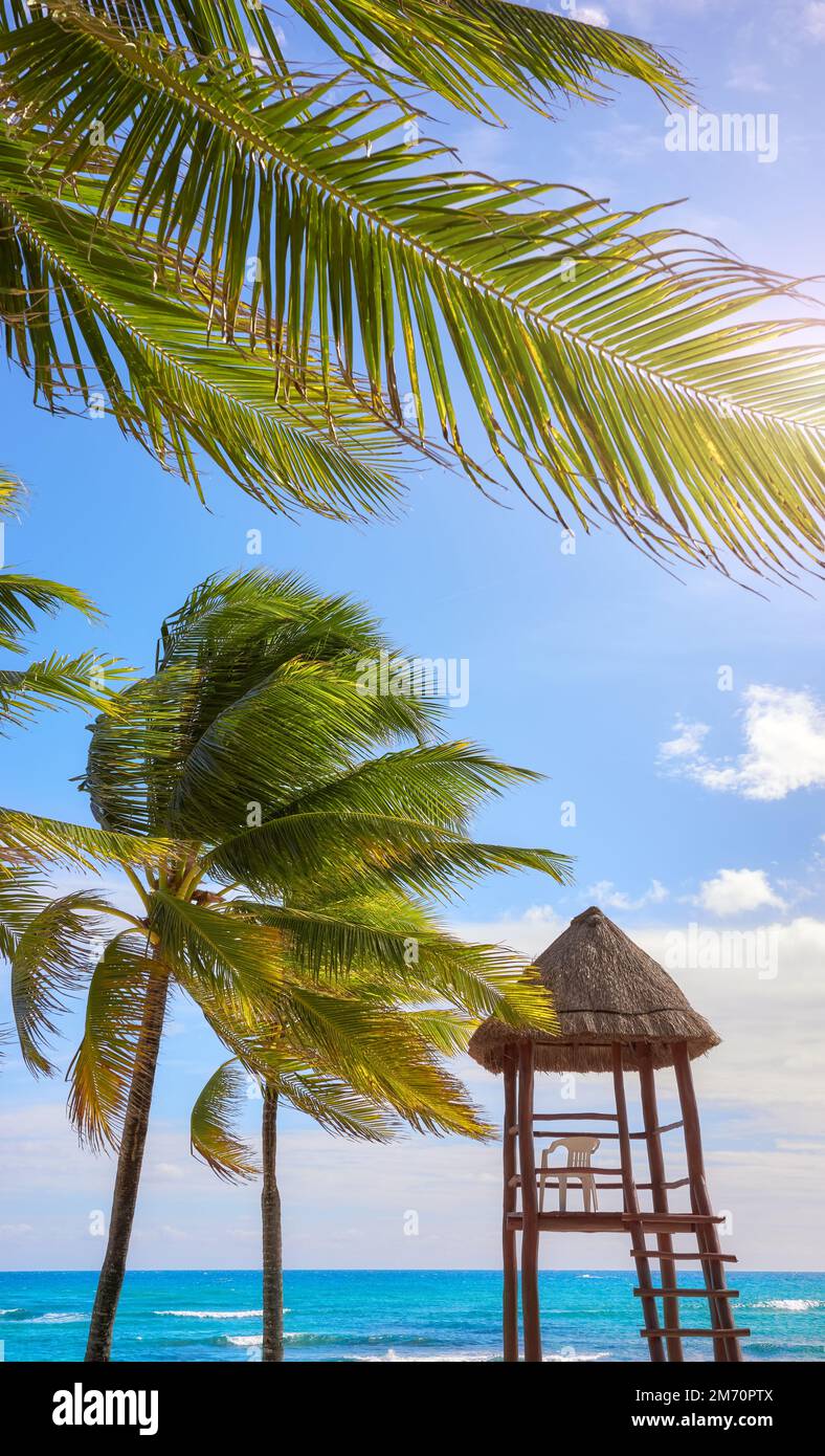 Coconut palm trees and a lifeguard tower on a Caribbean beach, Mexico ...