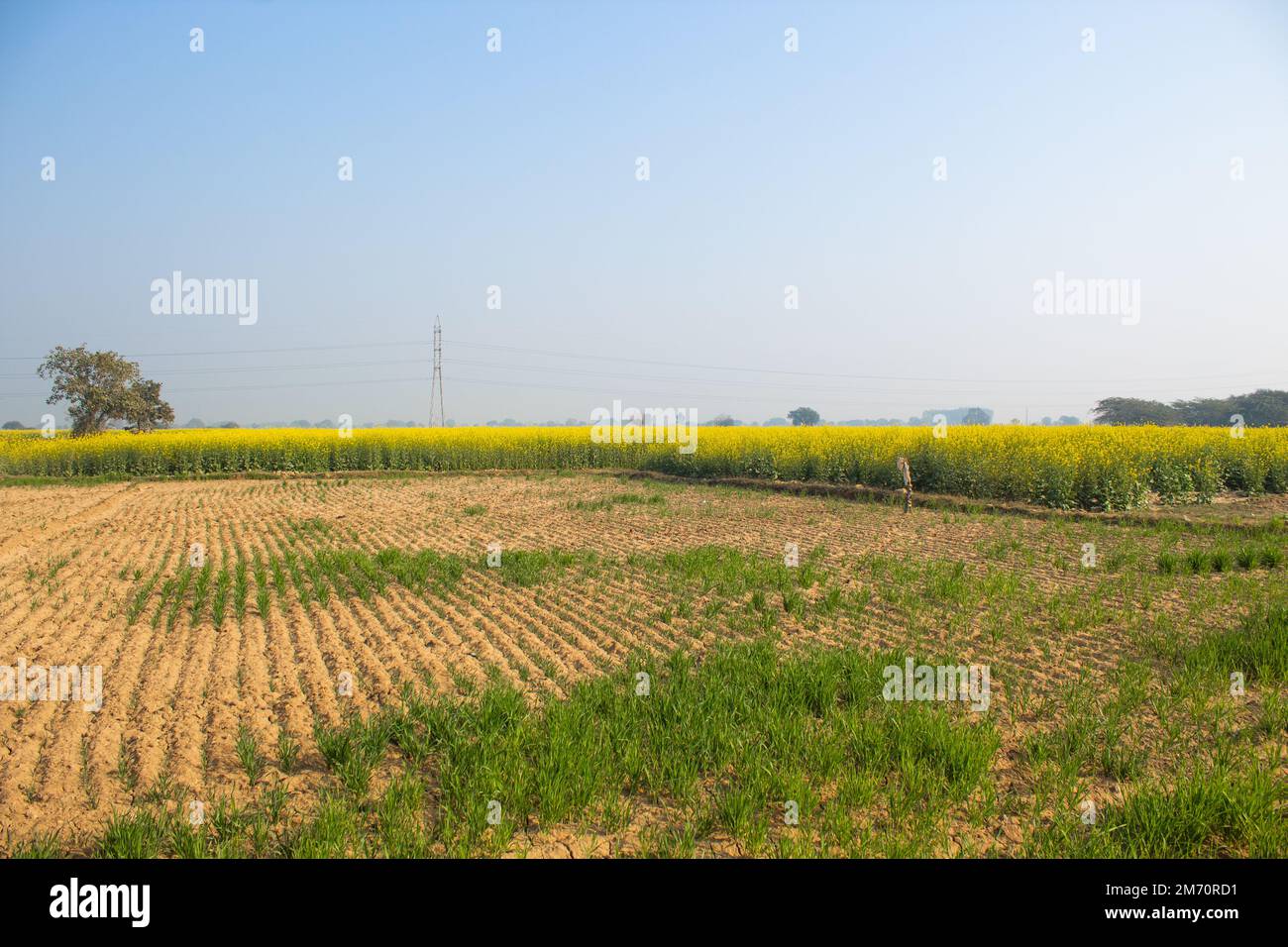 Indian rural area field for crops and water sources Stock Photo - Alamy