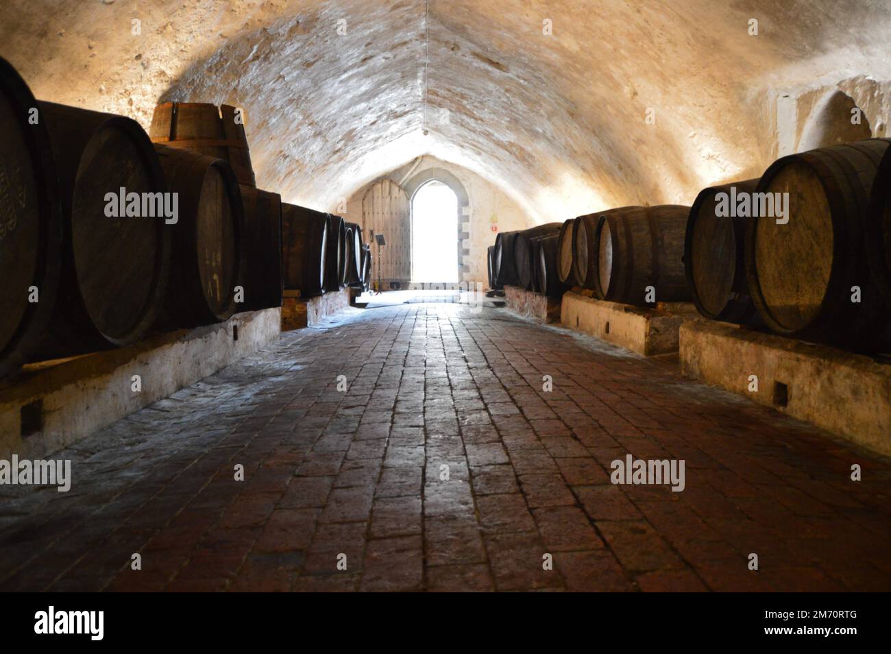 A wine cellar in a medieval castle with old wooden barrels and light ...