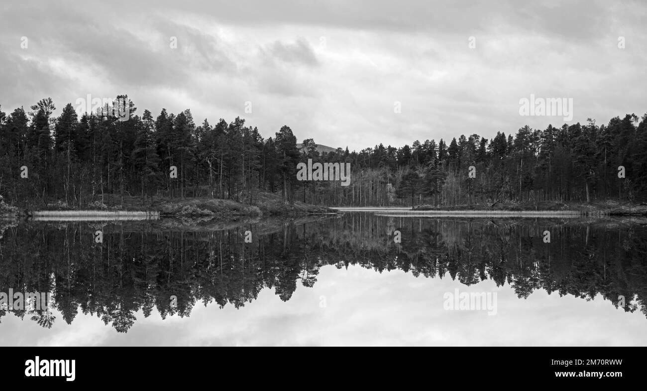 Lake in Lemmenjoki National Park, near Inari, Finland Stock Photo - Alamy