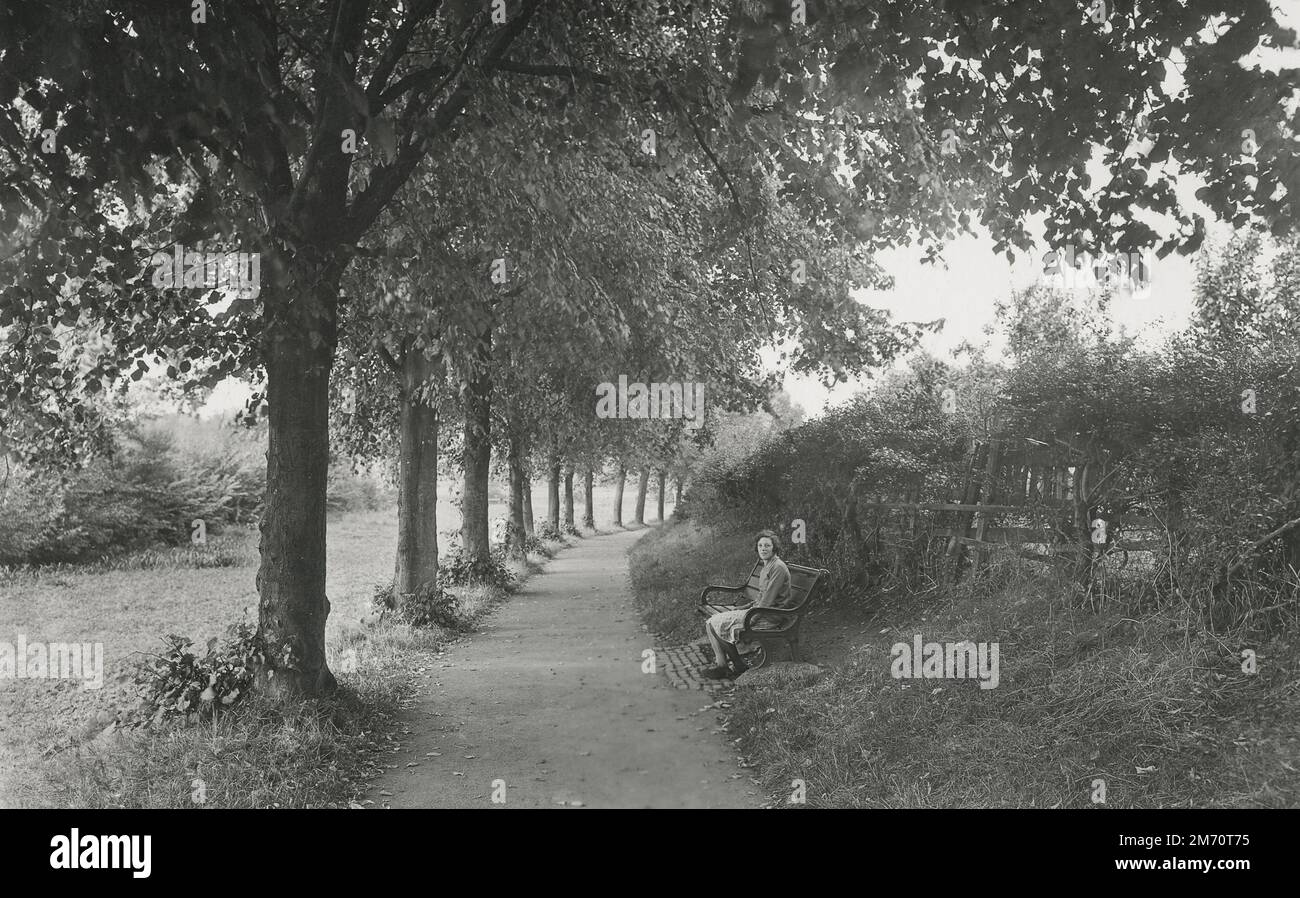 Vintage late 19th/early 20th century photograph: 1931 - Barnes Walk, St ...