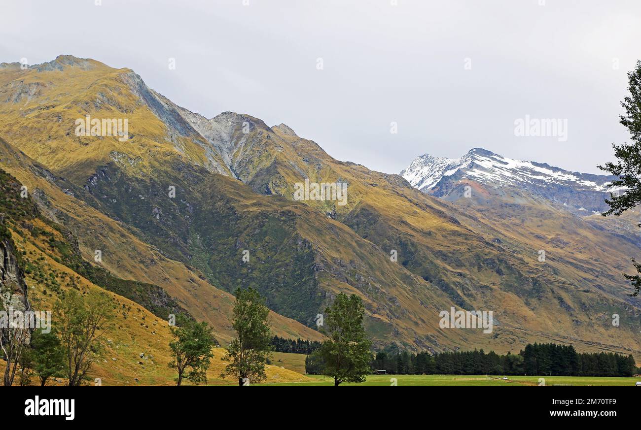 Mt Aspiring NP, New Zealand Stock Photo - Alamy
