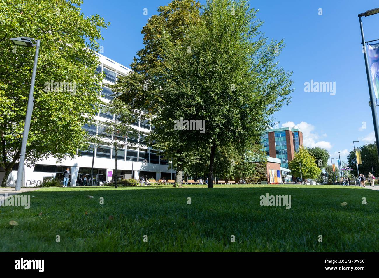 trees in park in Manchester Stock Photo - Alamy