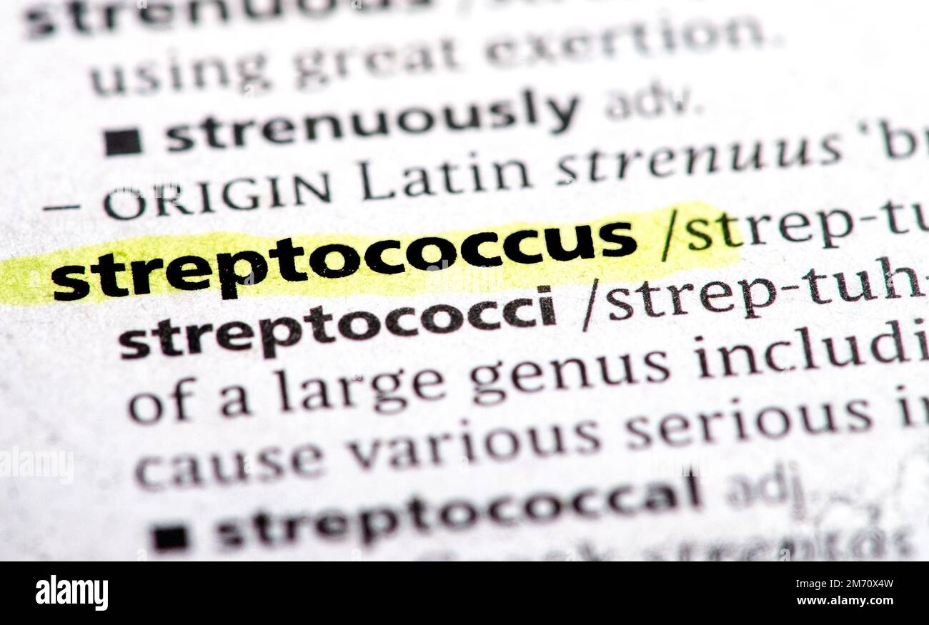 Streptococcus hi-res stock photography and images - Alamy