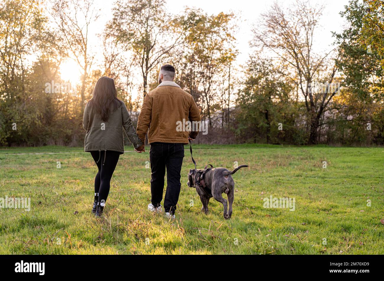 Two people walking in the park with dog during sunset, unrecognizable ...