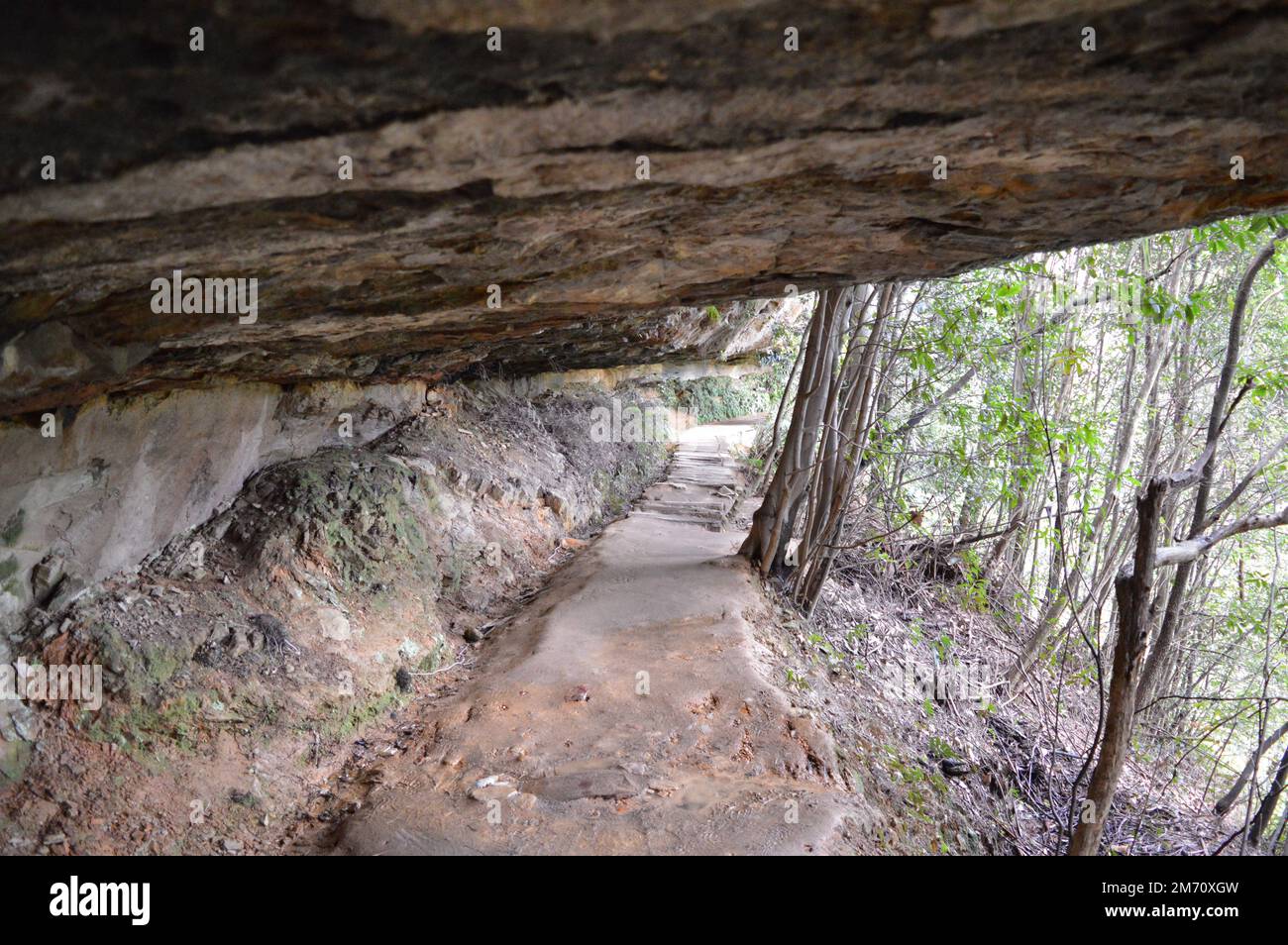 nice hiking trail in Australia Stock Photo - Alamy