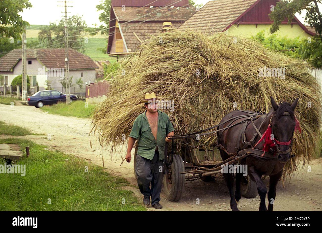 Horse pulling cart man street wagon hi-res stock photography and images ...