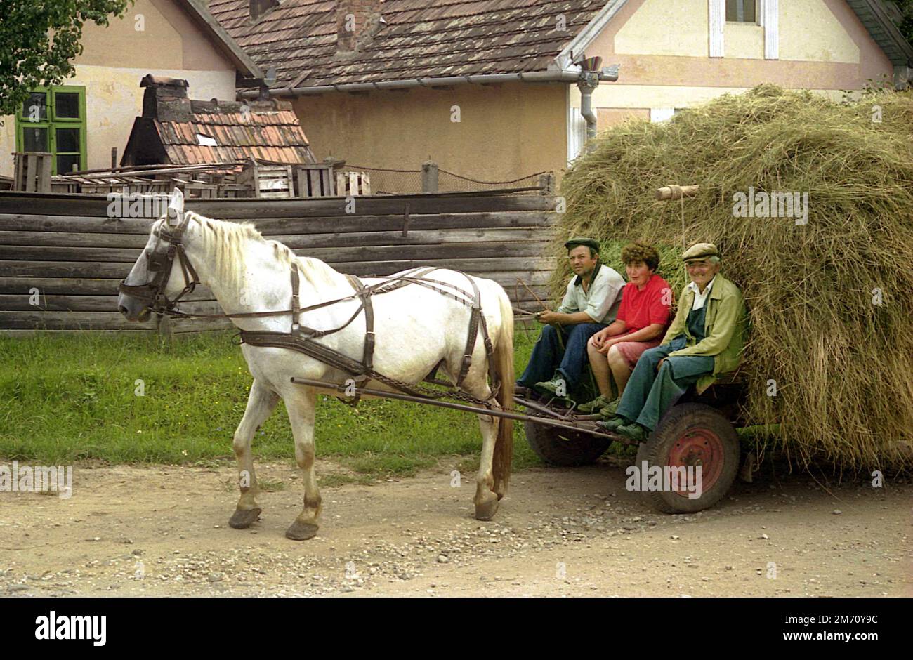 Mures County, Romania, approx. 2001. Horse pulling a wagon filled with ...