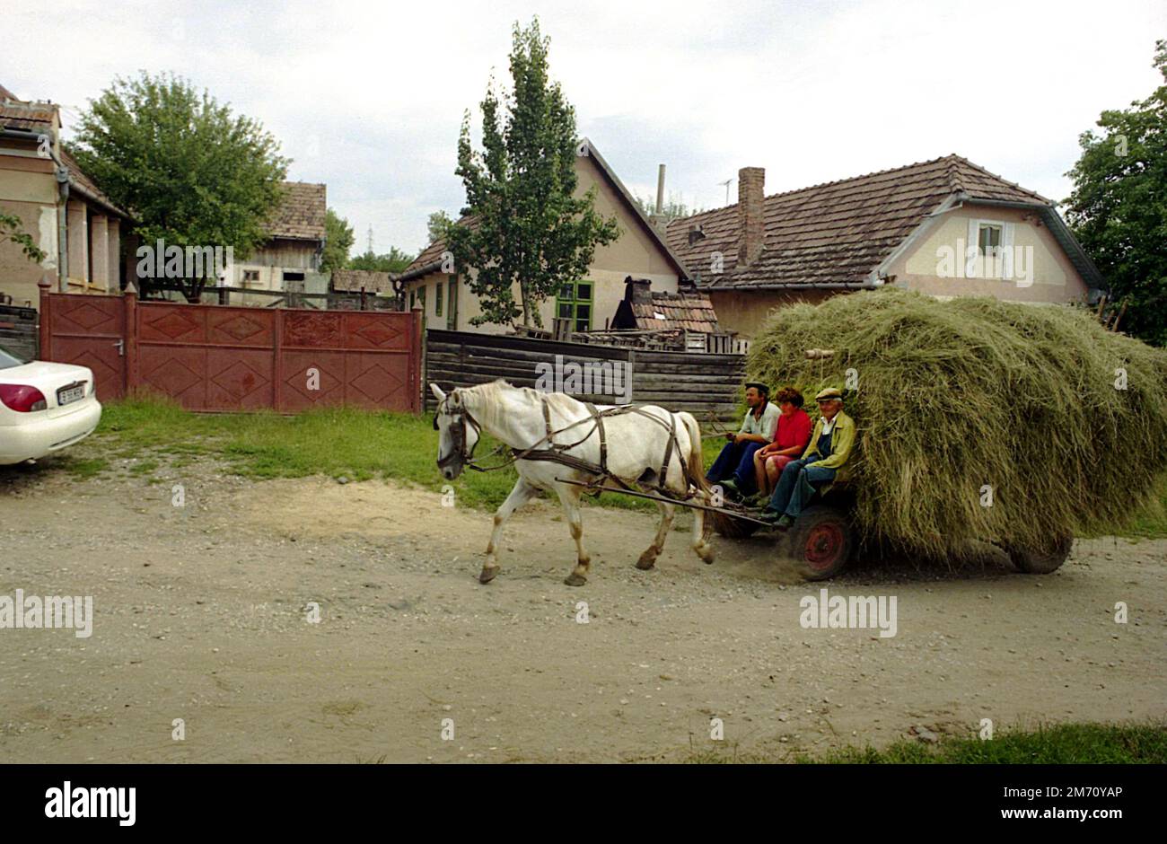 Mures County, Romania, approx. 2001. Horse pulling a wagon filled with ...