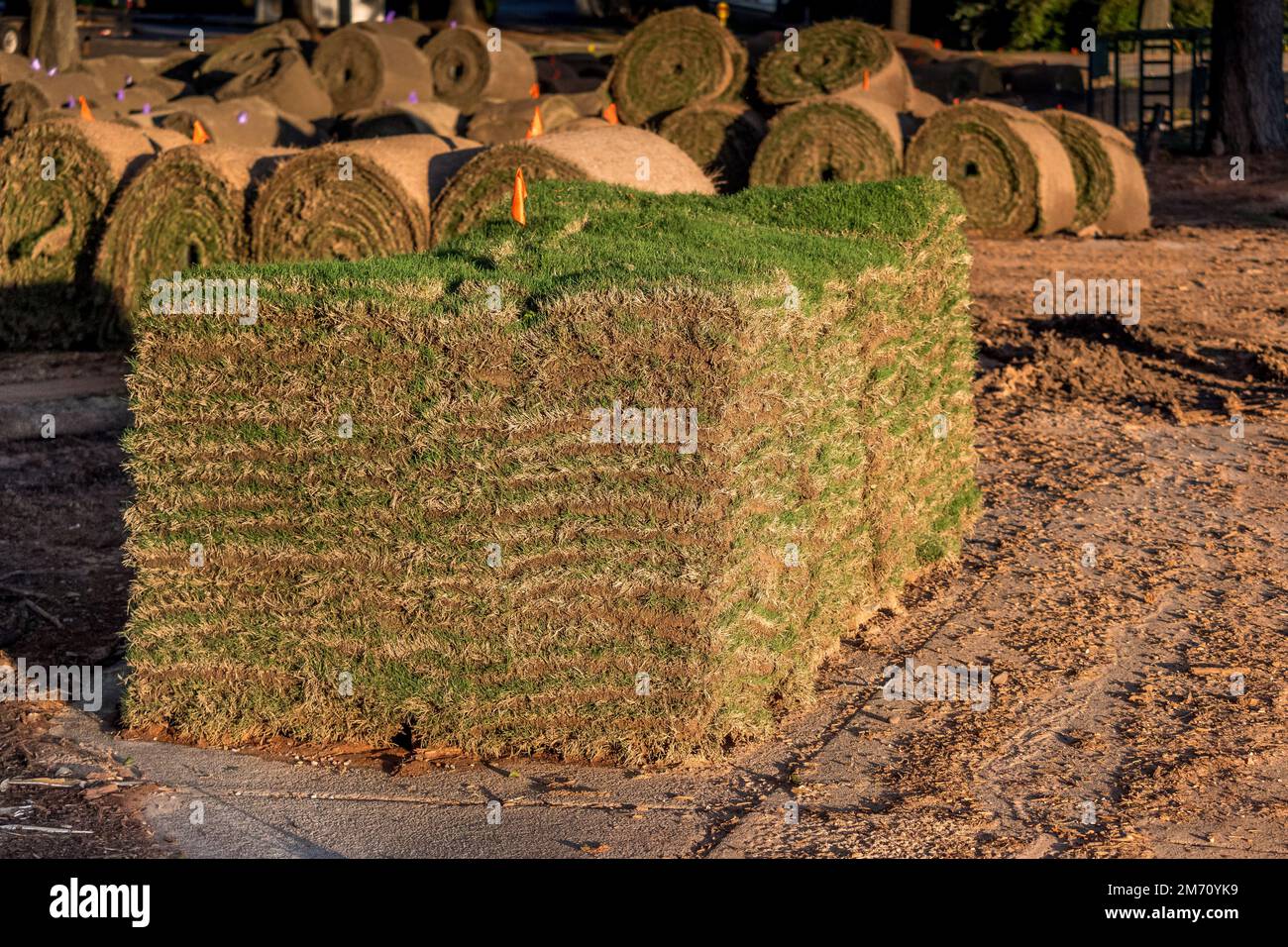 Fresh sod grass squares stacked on pallet ready for landscape ...