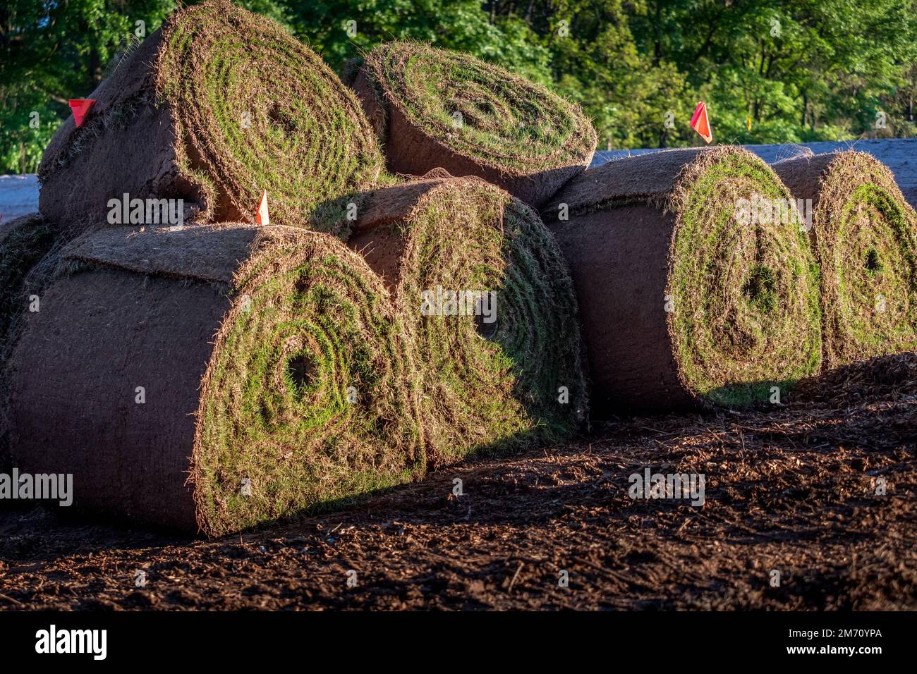 Rolls of fresh sod grass ready for commercial landscape installation ...