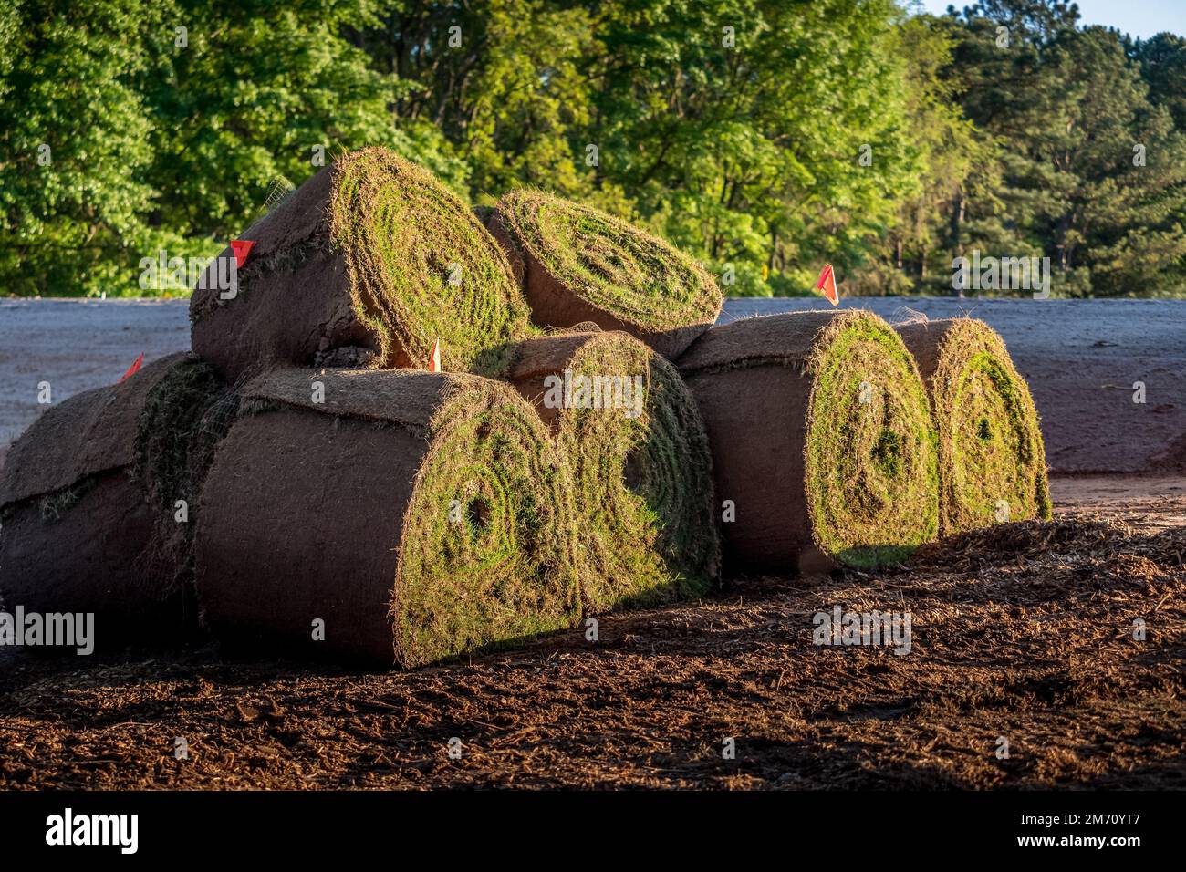 Rolls of fresh sod grass ready for commercial landscape installation ...