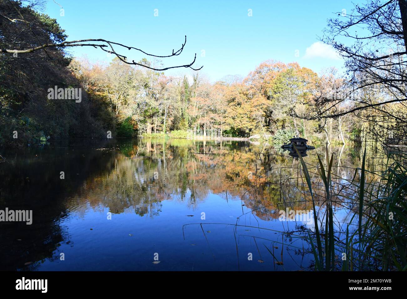 Autumn colours reflection in water Stock Photo - Alamy