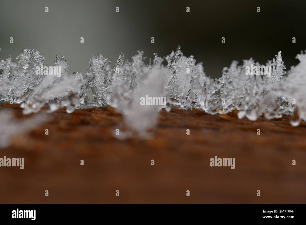 Macro photography of ice crystals Stock Photo - Alamy