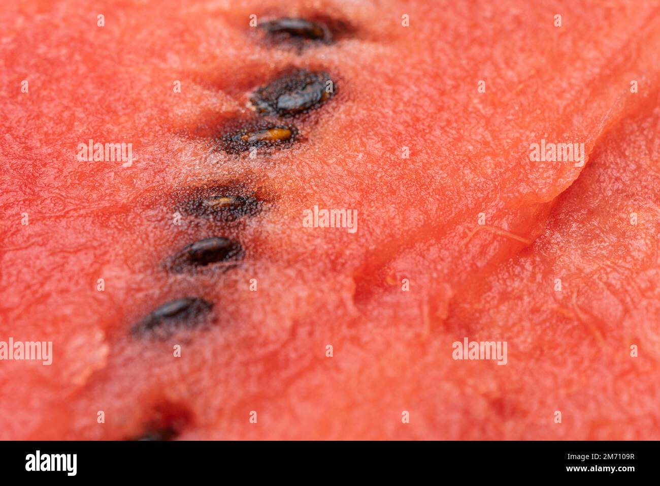 Watermelon with black seeds hi-res stock photography and images - Alamy