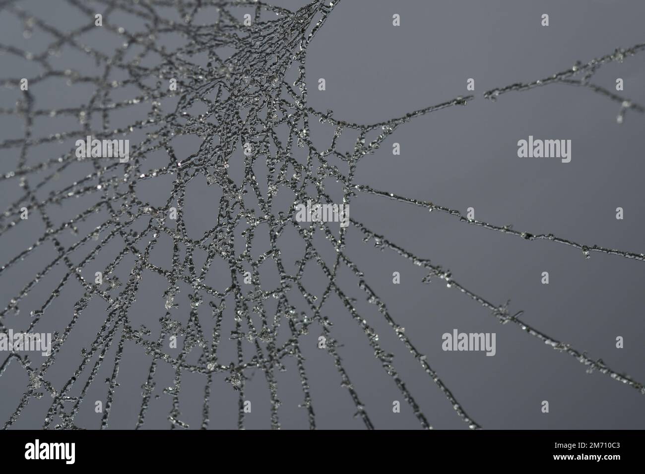 Macro photography of a frosty cobweb Stock Photo - Alamy