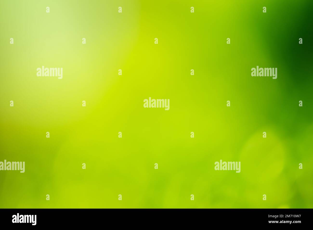 Abstract environmental background. Nature green organic eco product ...