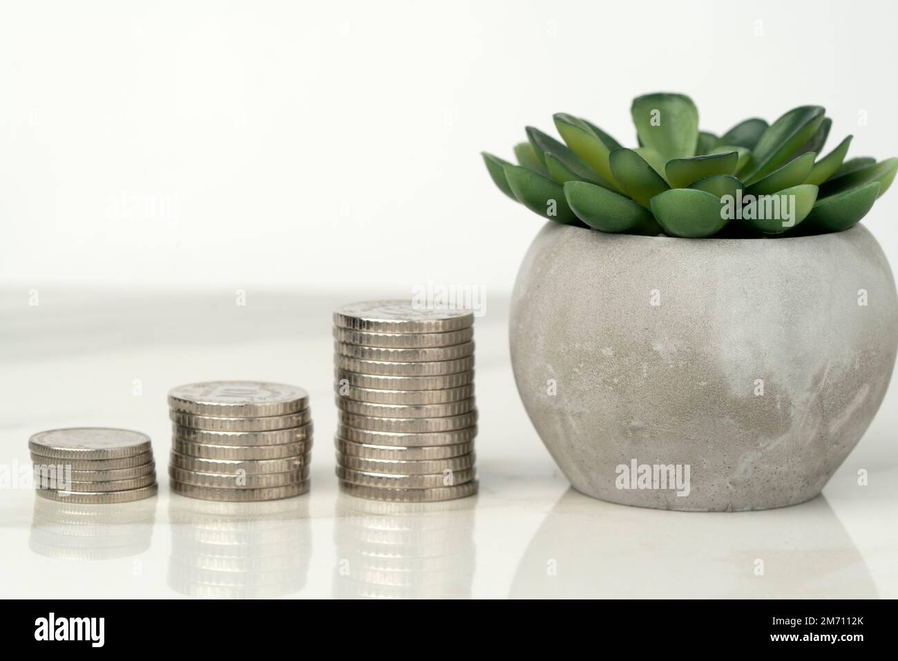 Money growth in soil with green leaves and trees concept, business and ...