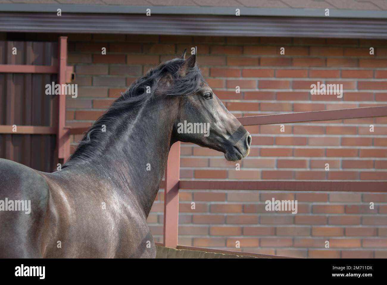 Outdoor stables hi-res stock photography and images - Alamy