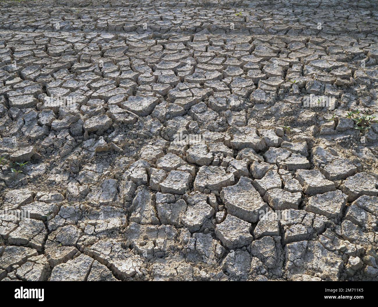 Cracked soil background. Dry cracked field. Natural texture of soil ...