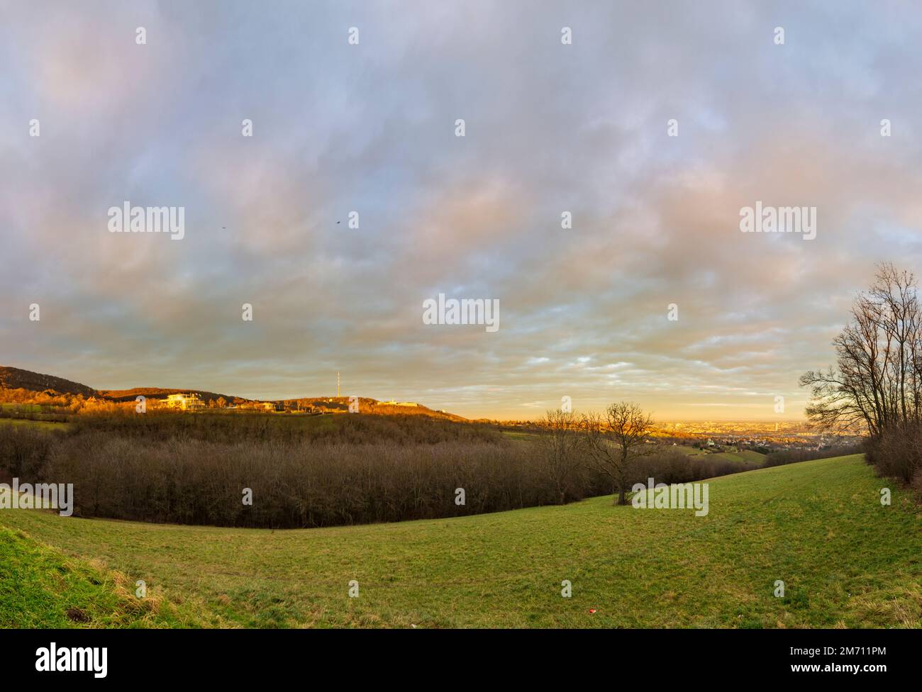 Wien, Vienna: Wienerwald (Vienna Woods) with restaurant Cobenzl ...