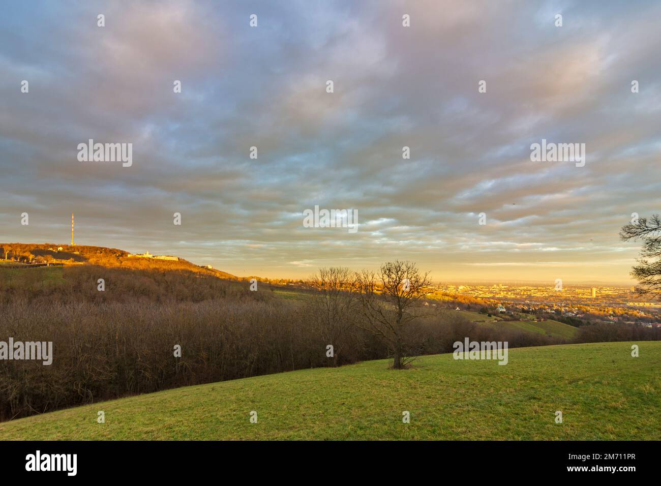 Wien, Vienna: Wienerwald (Vienna Woods) with mountain Kahlenberg with ...