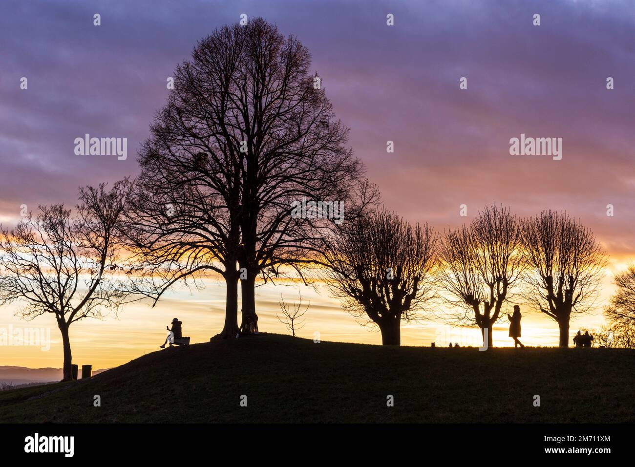Wien, Vienna: meadow and viewpoint Bellevuewiese, leafless trees, fiery ...
