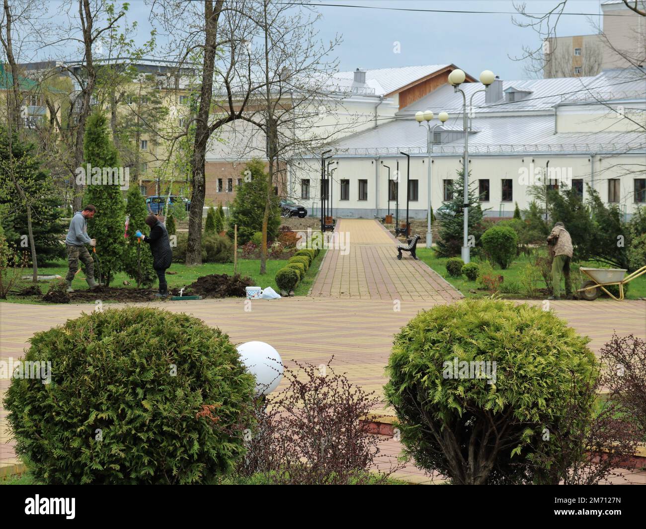 a group of people plant trees and shrubs in a city park with a ...