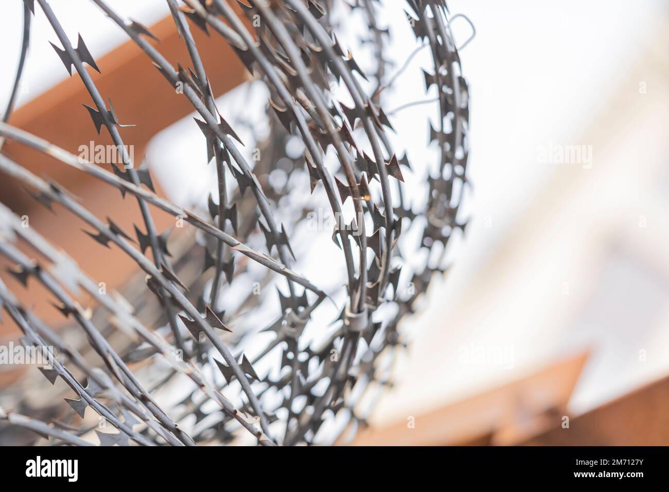 Barbed wire stretched over anti-tank hedgehogs. Fortified defense line ...